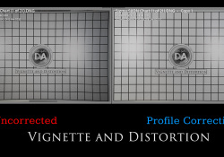 Sigma 50mm F1.4 DG DN ART Review (A2023) - DustinAbbott.net