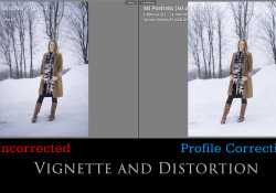 Sigma 50mm F1.4 DG DN ART Review (A2023) - DustinAbbott.net