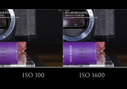 Sigma FP-L Mirrorless Camera Review - DustinAbbott.net