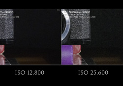 Sigma FP-L Mirrorless Camera Review - DustinAbbott.net