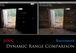 Sony a7C2 (ILCE-A7CM2) Review - DustinAbbott.net