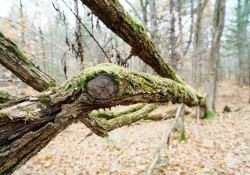 Sony a7C2 (ILCE-A7CM2) Review - DustinAbbott.net