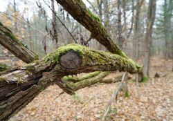 Sony a7C2 (ILCE-A7CM2) Review - DustinAbbott.net