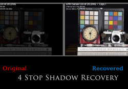 Sony a7RV (ILCE-7RM5) Review - DustinAbbott.net