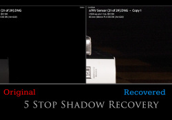 Sony a7RV (ILCE-7RM5) Review - DustinAbbott.net