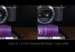 Sony a9II (ILCE-9M2) Review - DustinAbbott.net