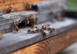 Tamron 17-70mm F2.8 VC RXD X-Mount Review - DustinAbbott.net