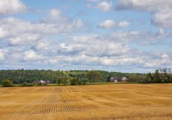 Zeiss Otus 100mm F1.4 APO Sonnar Review - DustinAbbott.net