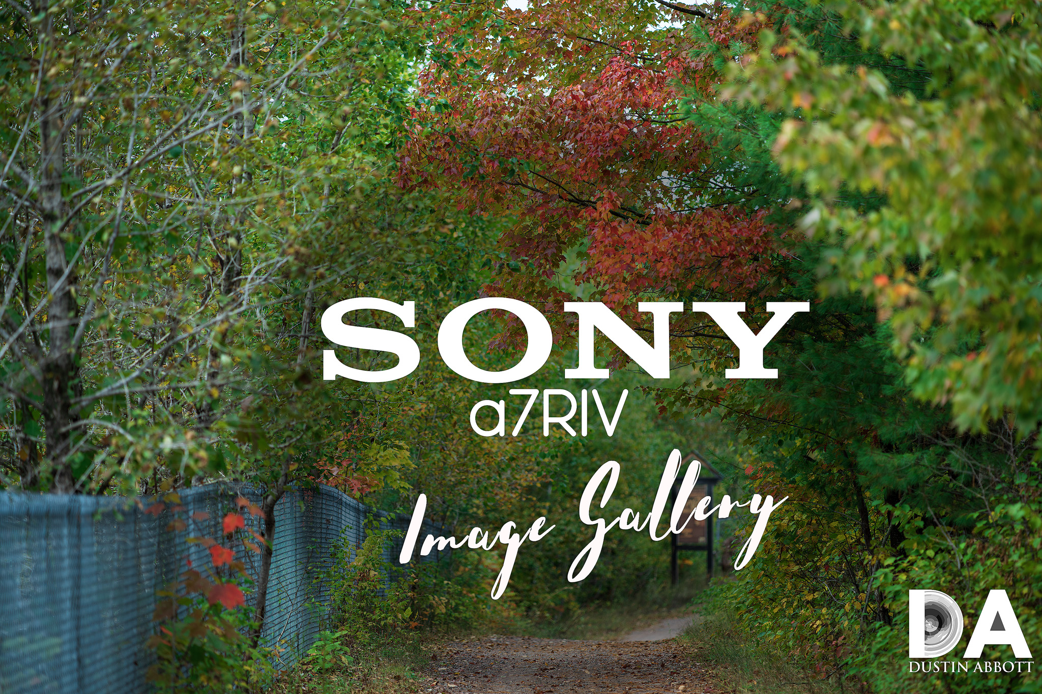 Sony a7R IV Image Gallery - DustinAbbott.net