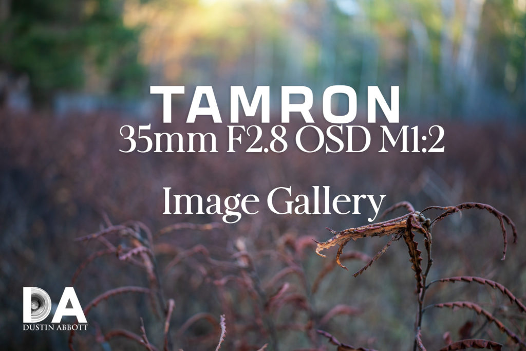 02 Tamron 35mm Image Gallery - DustinAbbott.net