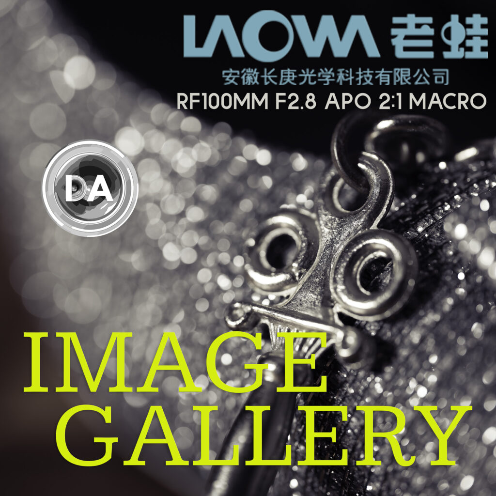 01 Image Gallery - DustinAbbott.net