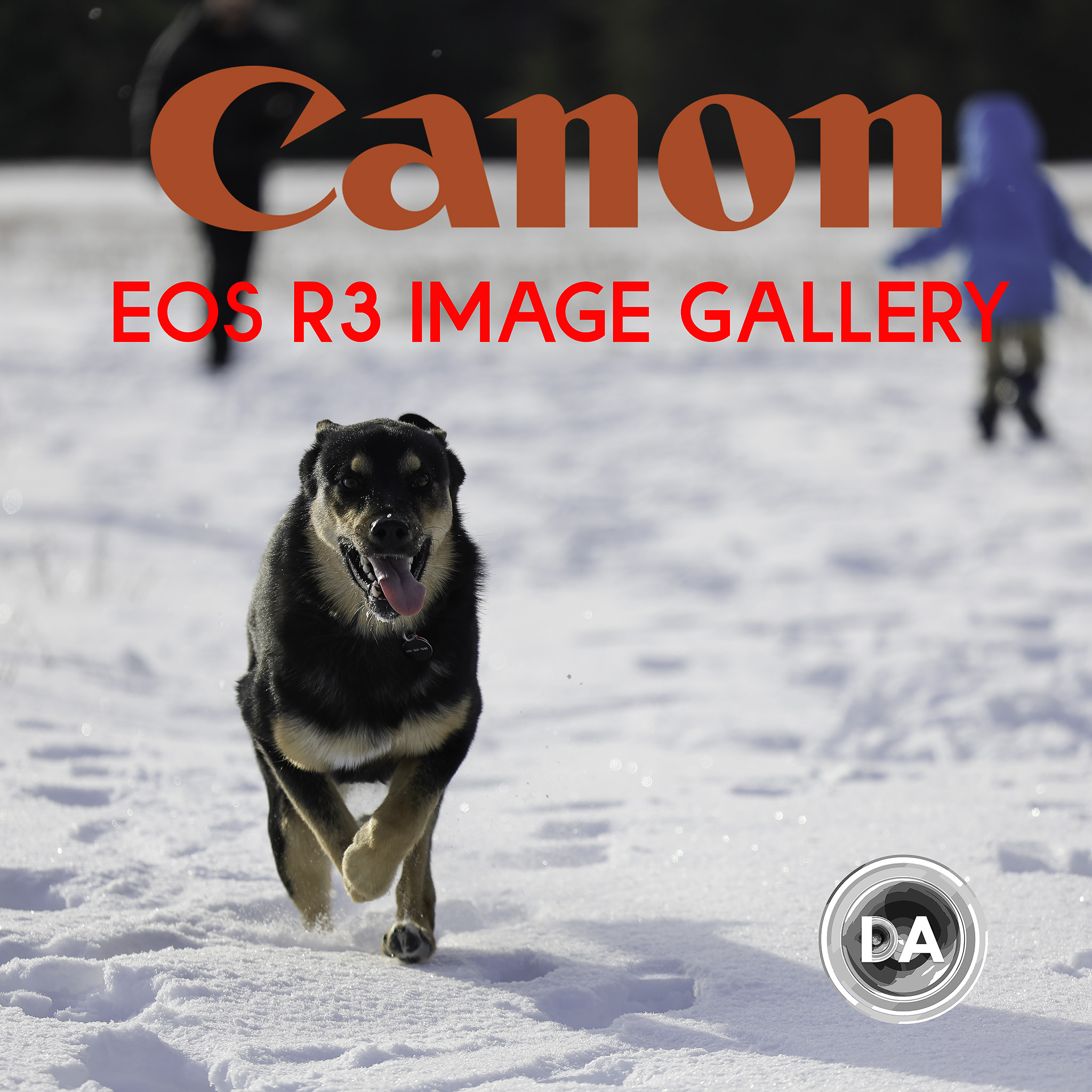 Canon EOS R3 Image Gallery - DustinAbbott.net