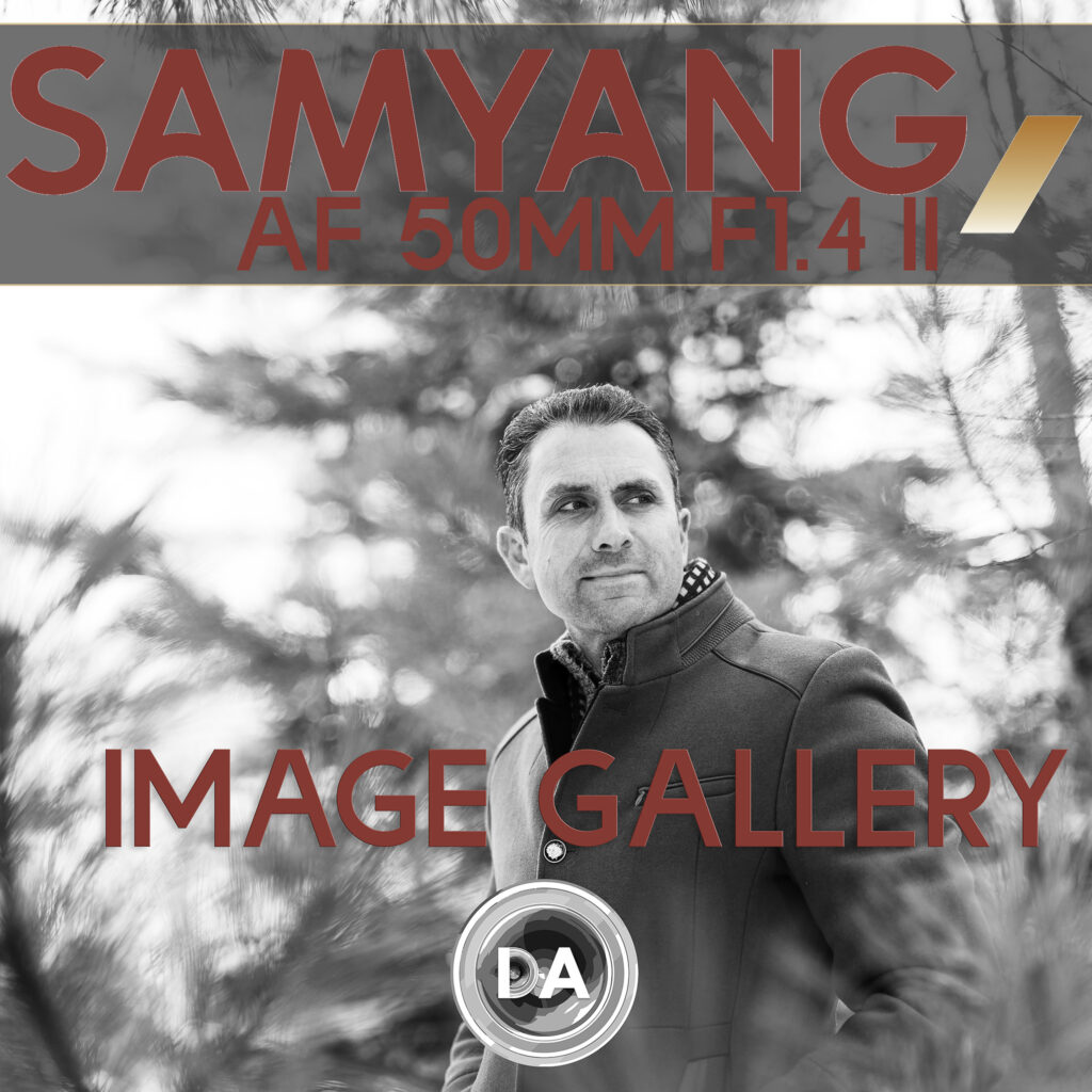 01 Image Gallery - DustinAbbott.net