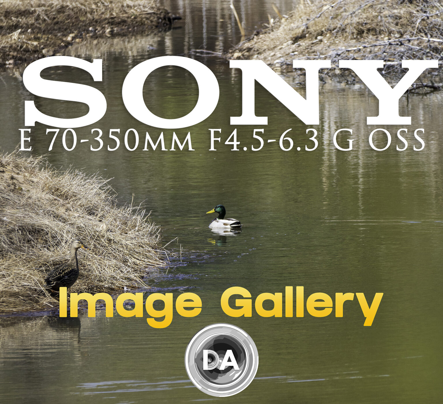 Sony Archives - DustinAbbott.net