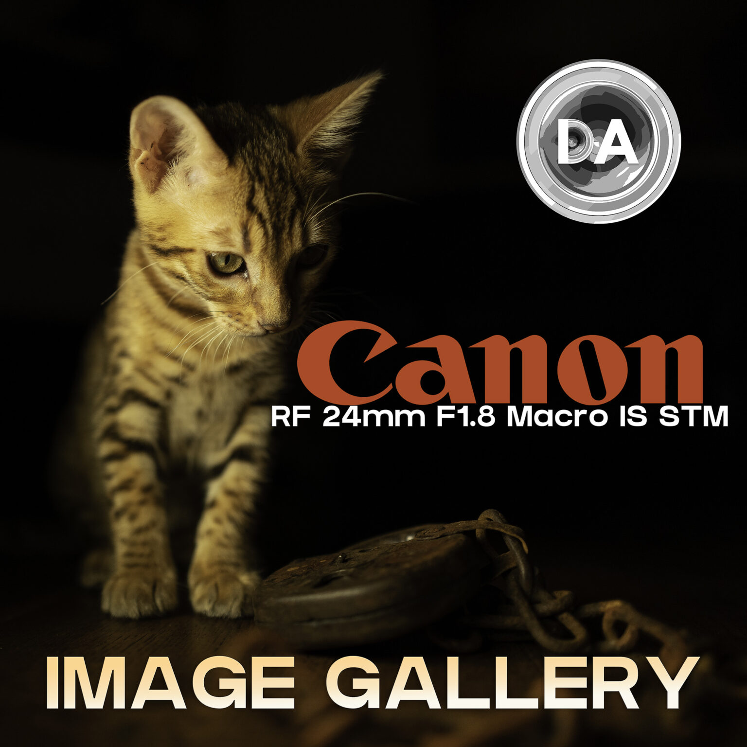 Canon RF 28mm F2.8 STM Review - DustinAbbott.net