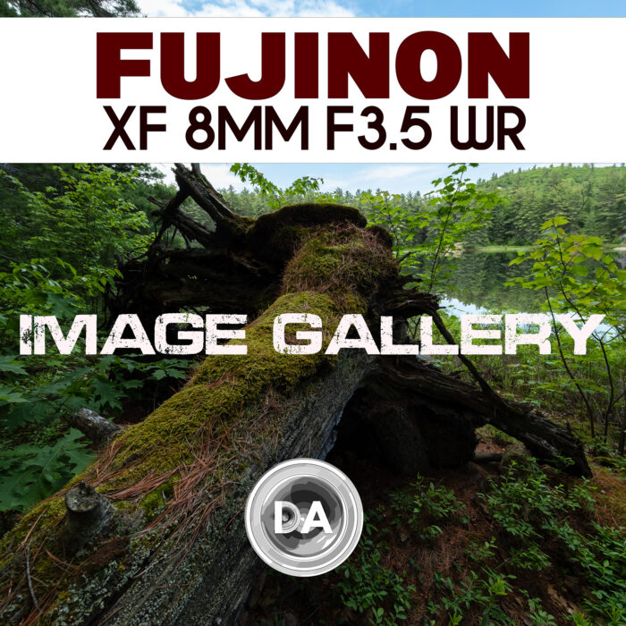 Fujinon XF 8mm F3.5 WR Review - DustinAbbott.net