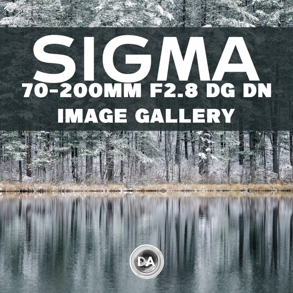Sigma 135mm f/1.8 DG HSM ART Image Gallery - DustinAbbott.net