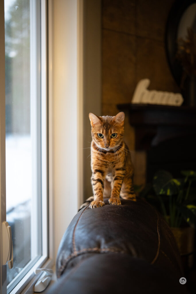 Pro27-Samples-40 - DustinAbbott.net