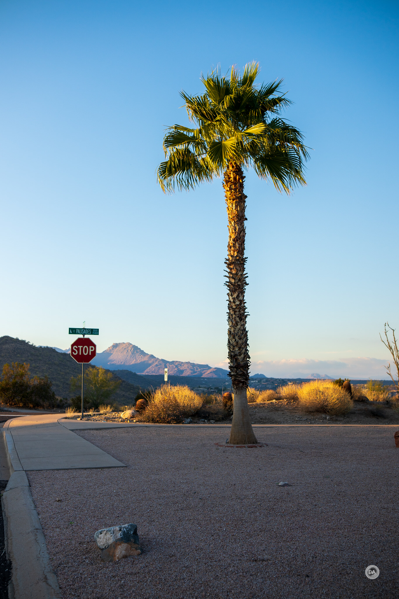 Pro27-Samples-61 - DustinAbbott.net