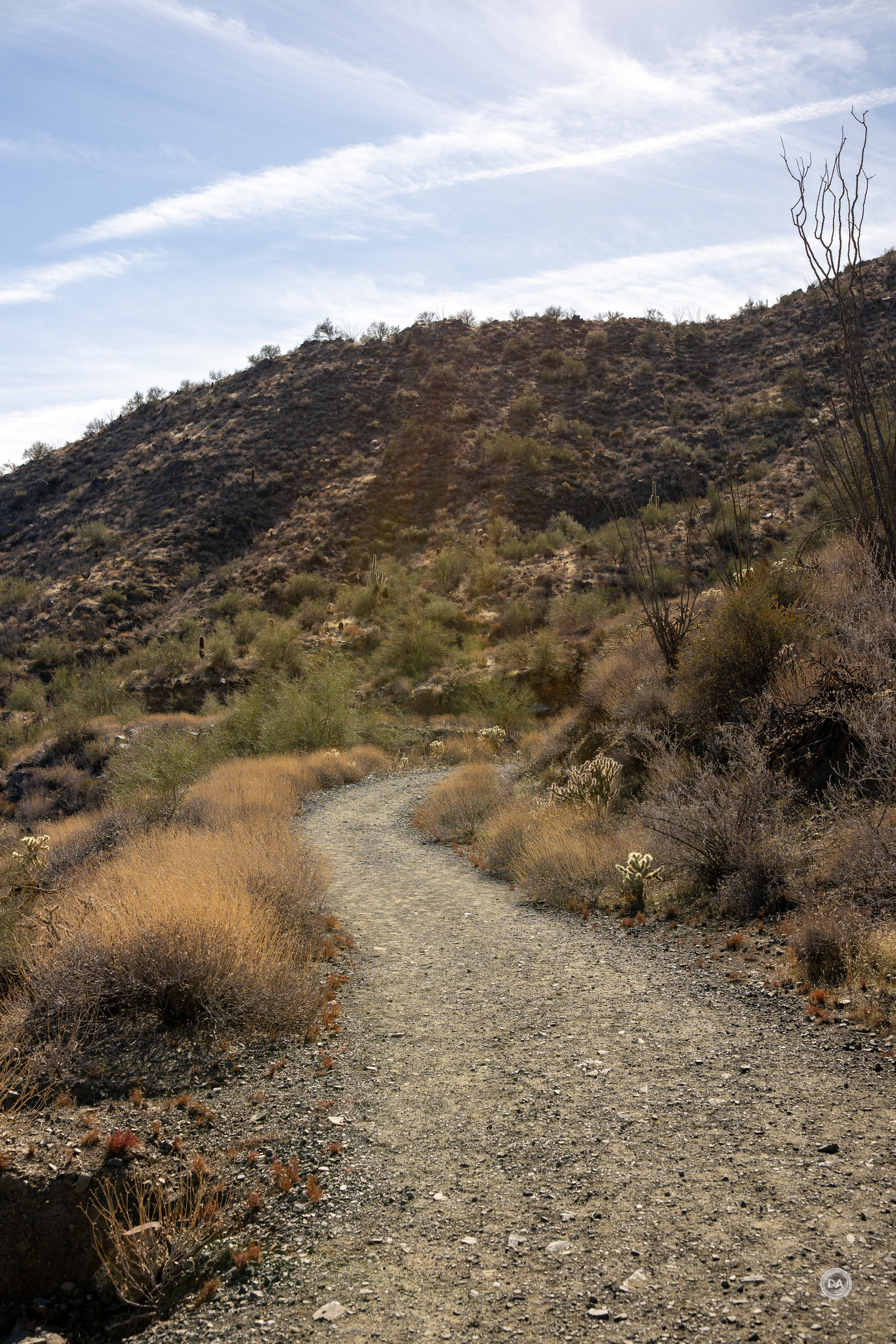 Pro27-Samples-88 - DustinAbbott.net