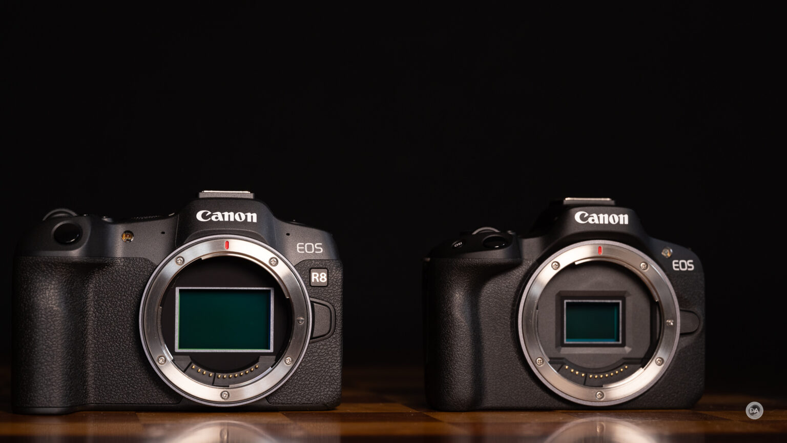 Canon EOS R50 Review - DustinAbbott.net