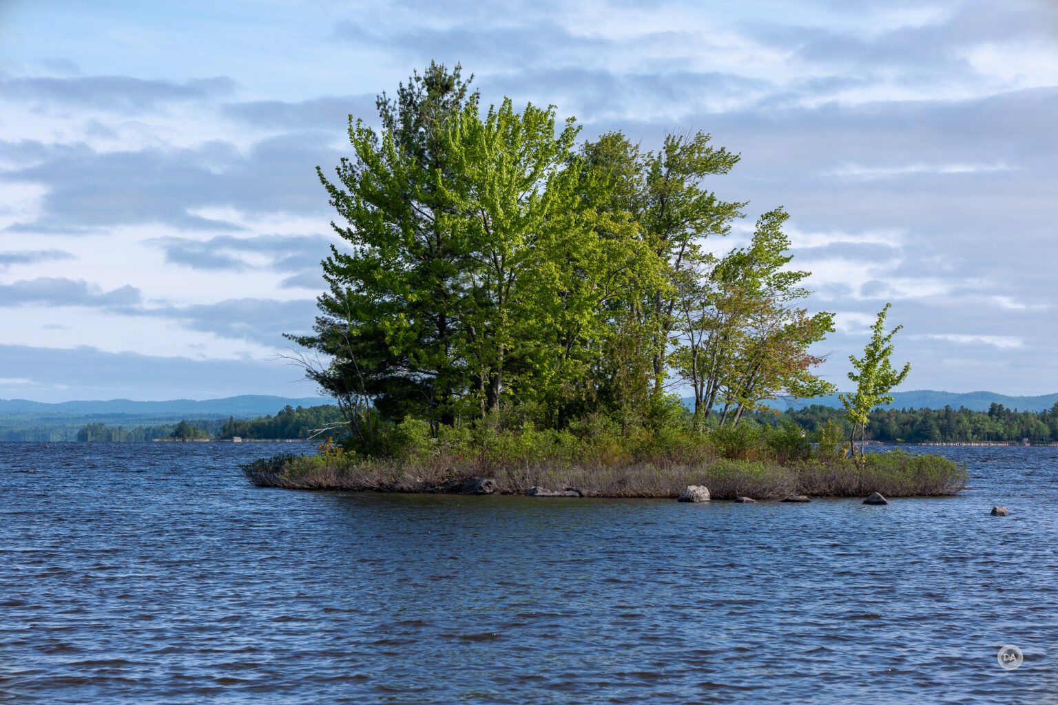 Sirui Sniper 75mm F1.2 Review - DustinAbbott.net