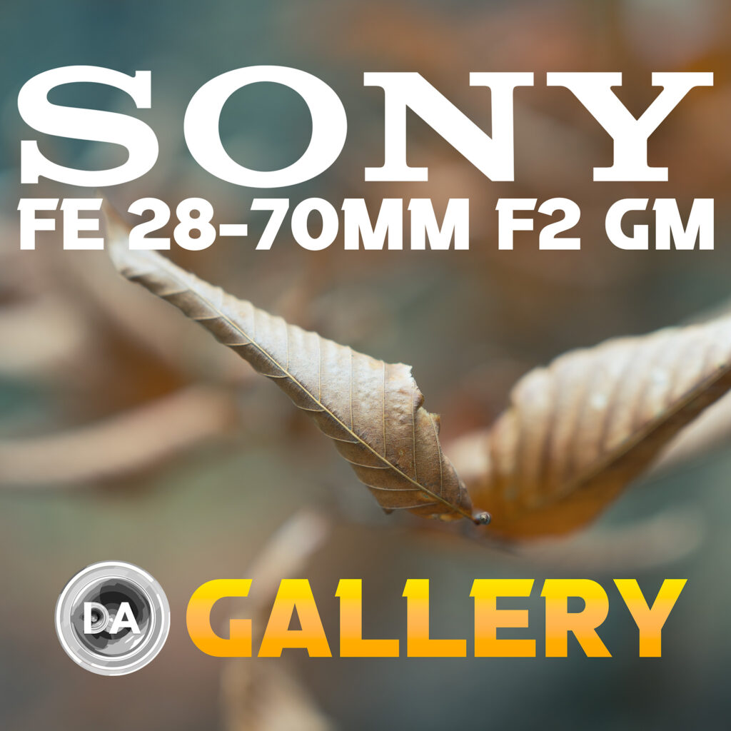 TTArtisan 50mm F2 Review and Gallery - DustinAbbott.net