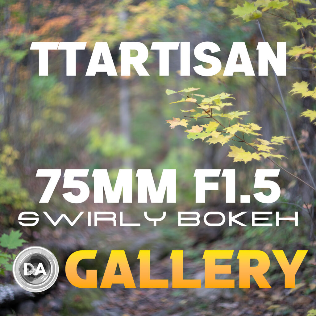Ttartisan 35mm F0 95 Review And Gallery