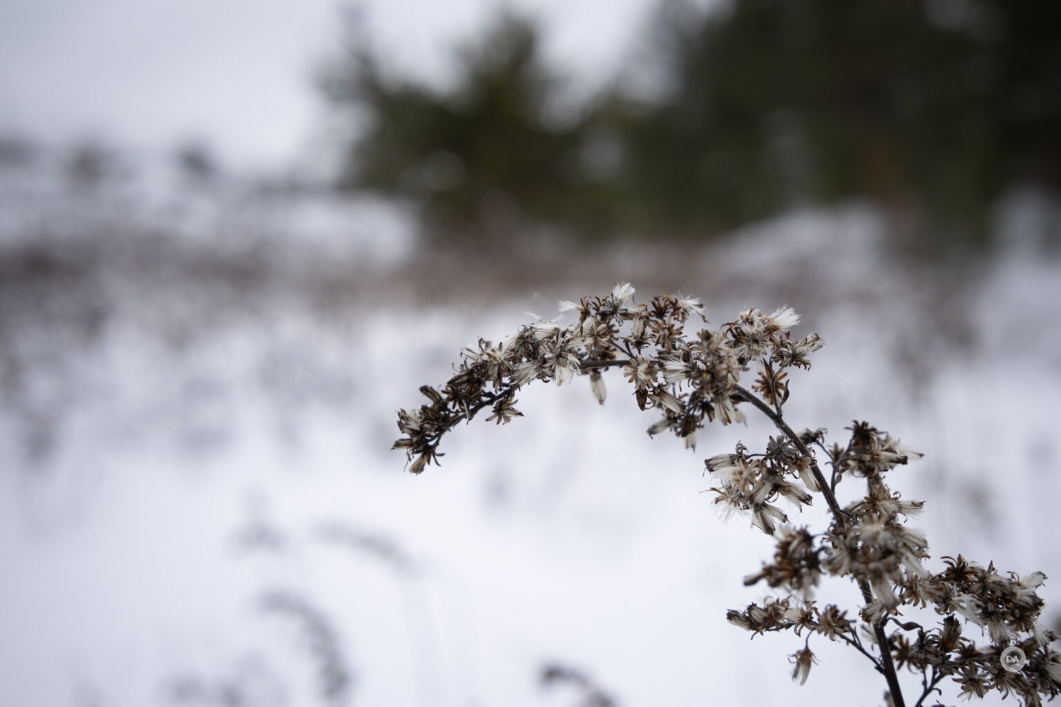 Tamron 11-20mm F2.8 RXD for Canon RF Review - DustinAbbott.net