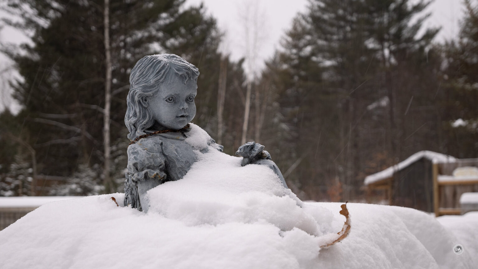 Tamron 11-20mm F2.8 RXD for Canon RF Review - DustinAbbott.net