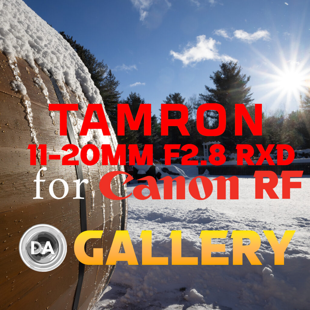 Canon EOS R6 MK II Review - DustinAbbott.net