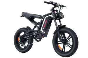 Windone E2 E-Bike Review - DustinAbbott.net