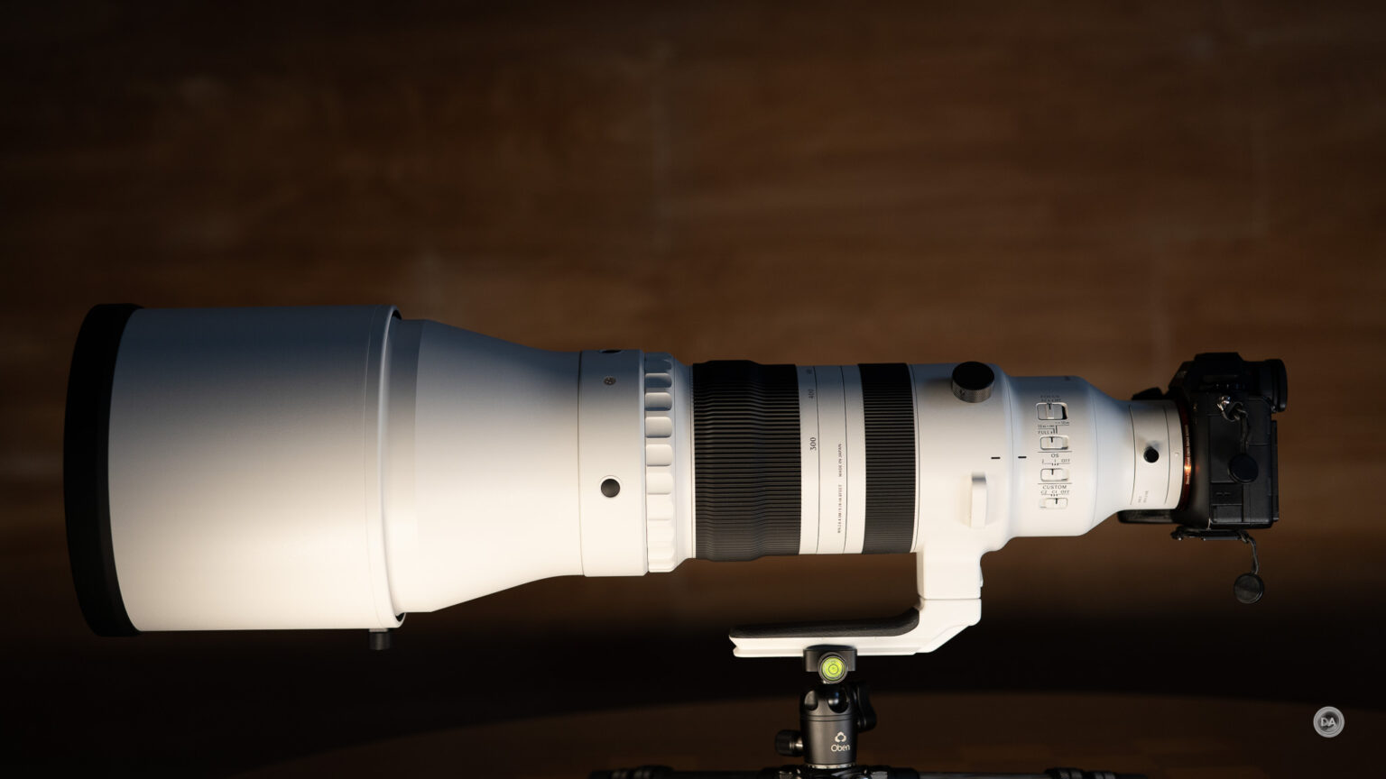 Sigma 300-600mm F4 DG OS | SPORT Review - DustinAbbott.net