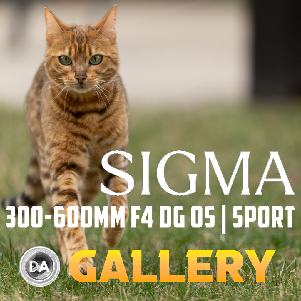 Sigma 17-40mm F1.8 DC | ART Gallery - DustinAbbott.net