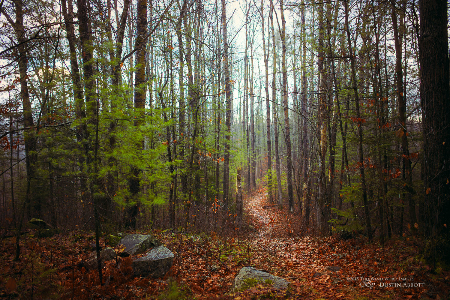 Sigma 35mm f/1.4 DG ART Image Gallery - DustinAbbott.net